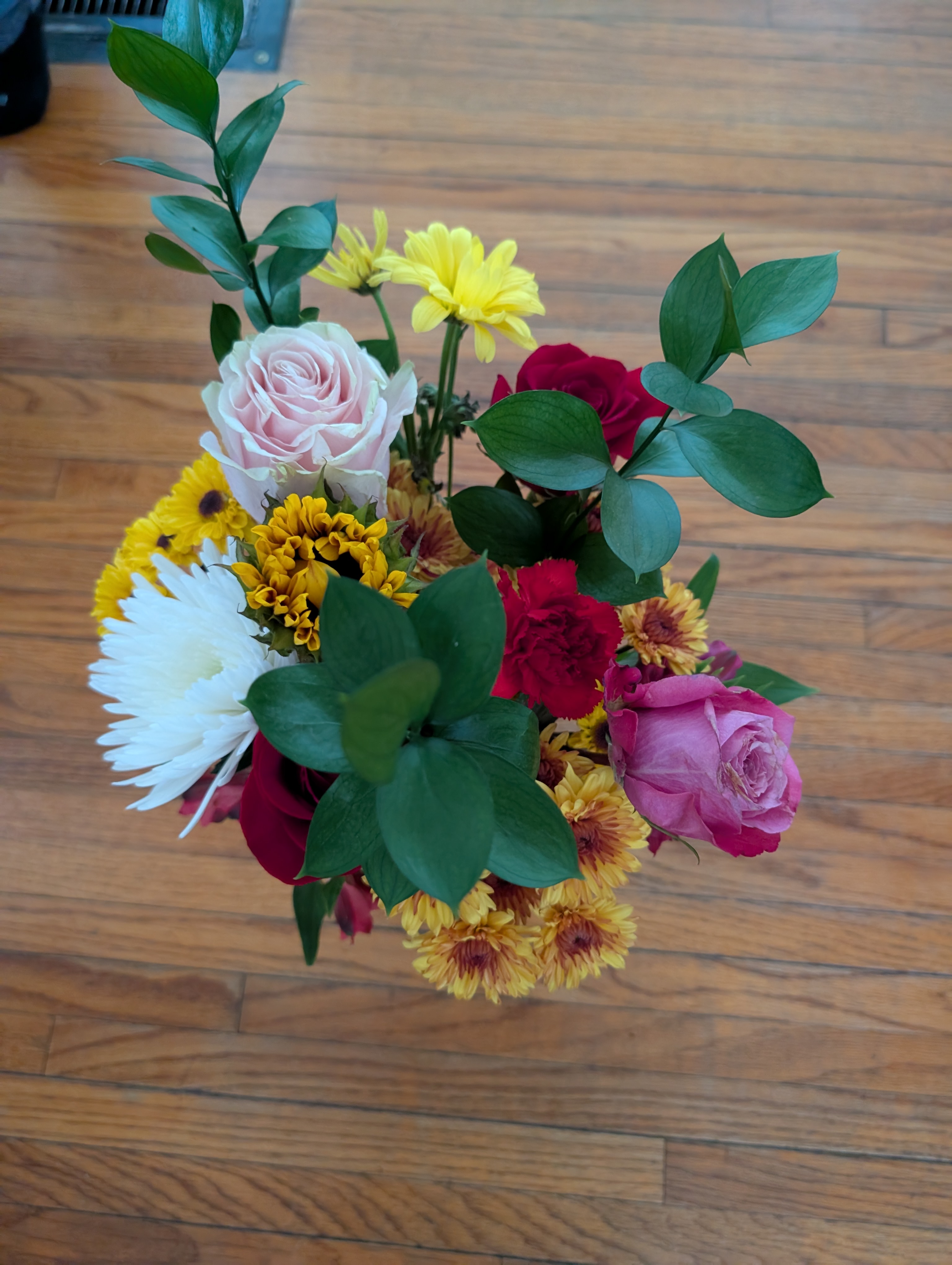 Jonah Michael – Desired Haven Farm